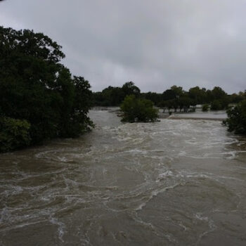 First Phase of the Trinity Forest Spine Trail - The Loop Dallas