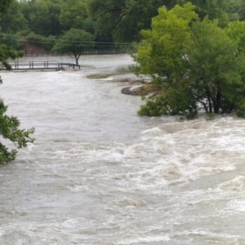 First Phase of the Trinity Forest Spine Trail - The Loop Dallas