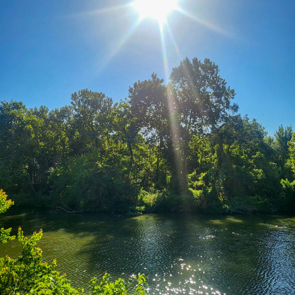 SoPac Trail Archives - The Loop Dallas