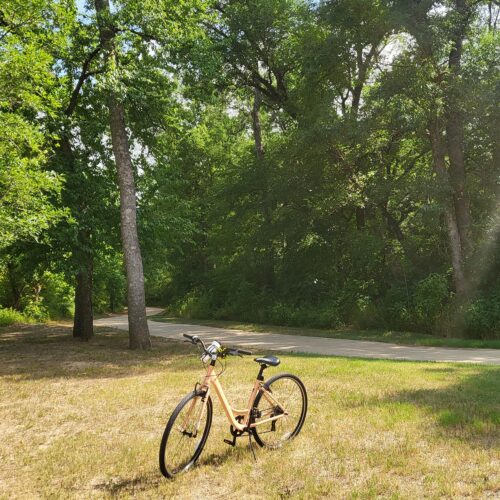 Get to Know the Trails: The Trinity Forest Trail - The Loop Dallas
