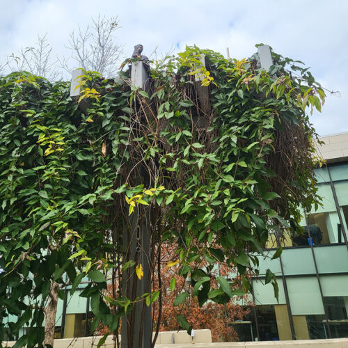 Latest News - The LOOP Dallas