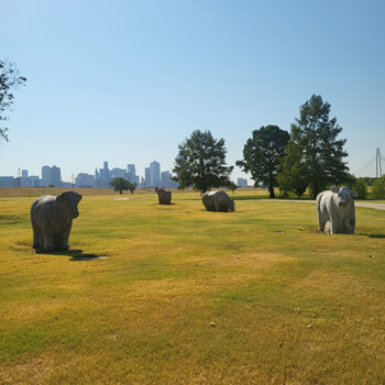 Get to Know the Trails: Trinity Skyline Trail - The Loop Dallas