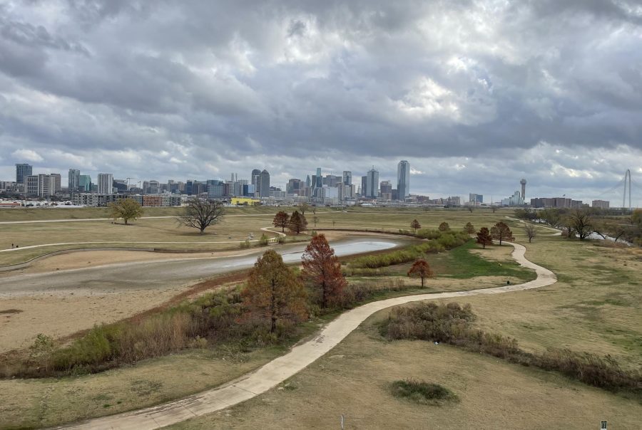 Hi Line Connector - The Loop Dallas